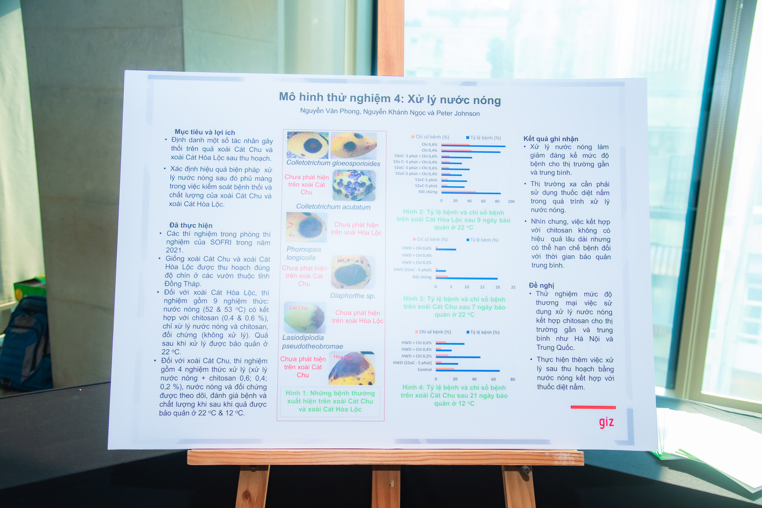 Strengthening the Mango value chain in the Mekong Delta – Fresh Studio