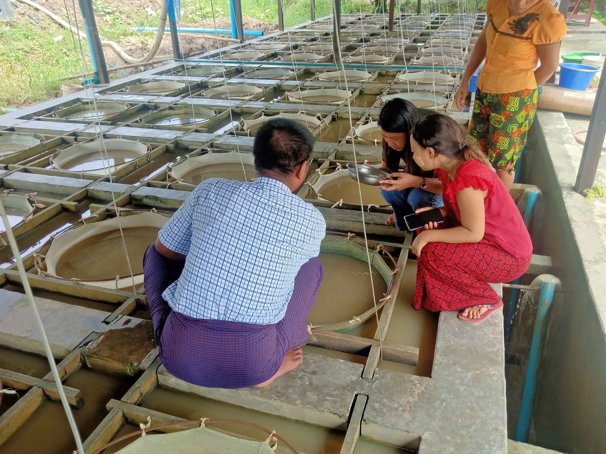 Introduction to the Powering Aquaculture Progress partnership in ...