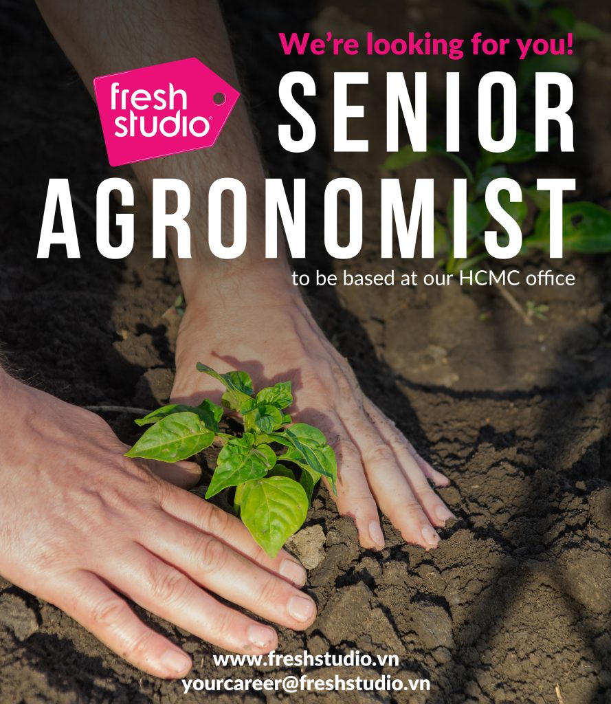 Vietnam – Fresh Studio