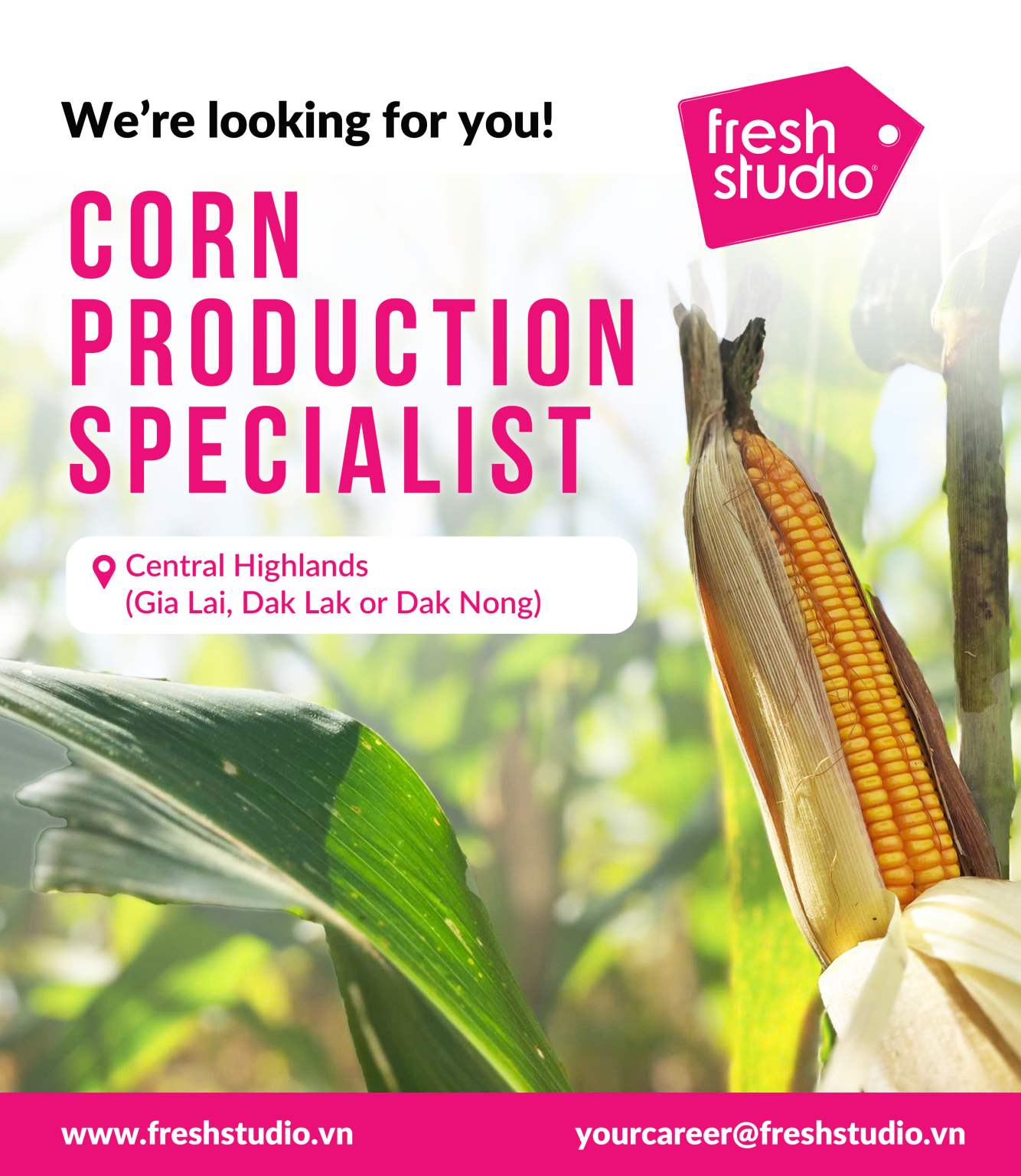 Corn Production Specialist – Fresh Studio